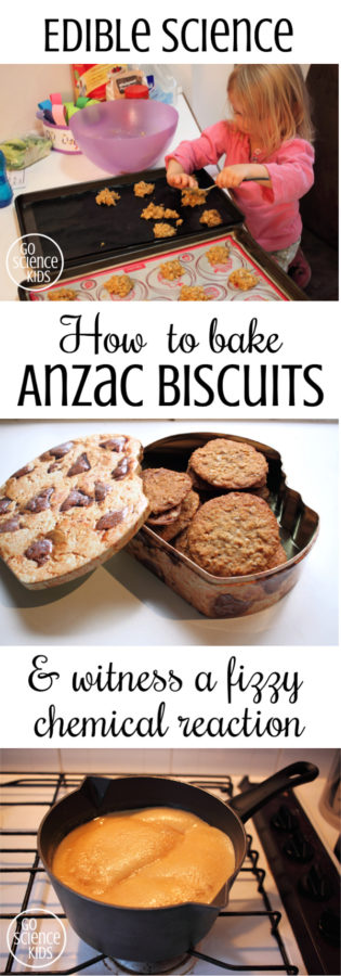 Edible Fizzy Science with Anzac Biscuits – Go Science Kids