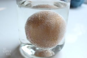 Can you dissolve the eggshell of a raw egg? – Go Science Kids