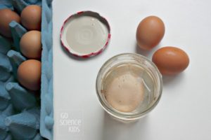 Can you dissolve the eggshell of a raw egg? – Go Science Kids