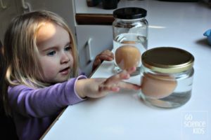 Can you dissolve the eggshell of a raw egg? – Go Science Kids