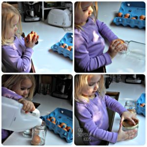 Can you dissolve the eggshell of a raw egg? – Go Science Kids