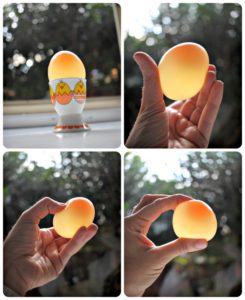 Can you dissolve the eggshell of a raw egg? – Go Science Kids