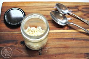 How to make Curds and Whey – Go Science Kids
