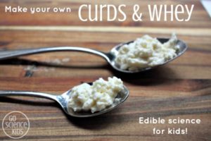 How to make Curds and Whey – Go Science Kids
