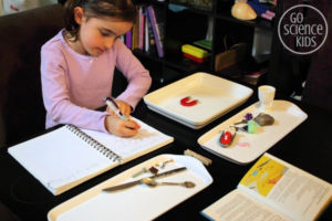Exploring Magnetism: easy magnet science experiment for kids – Go ...