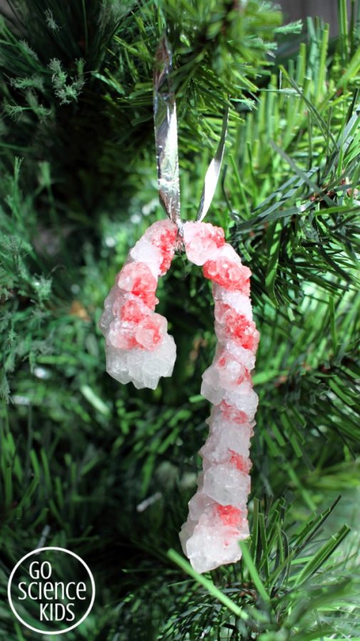 Crystal Candy Canes - fun Christmas science project – Go Science Kids