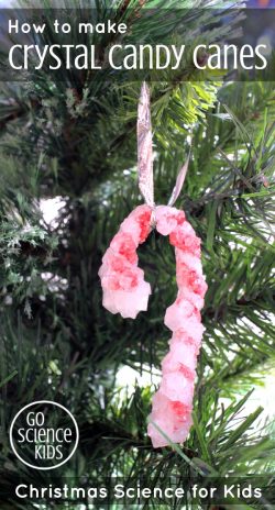 Crystal Candy Canes - fun Christmas science project – Go Science Kids