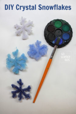 How to make the best Crystal Snowflakes – Go Science Kids