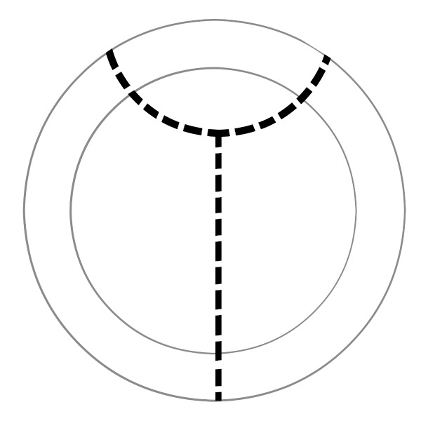 Anatomy of a ladybird craft - with movable elytra and hidden wings ...