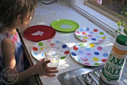 Salt Crystal Ghosts – Go Science Kids
