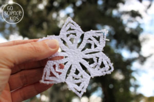 Salt Crystal Paper Snowflakes! – Go Science Kids