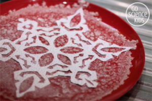 Salt Crystal Paper Snowflakes! – Go Science Kids