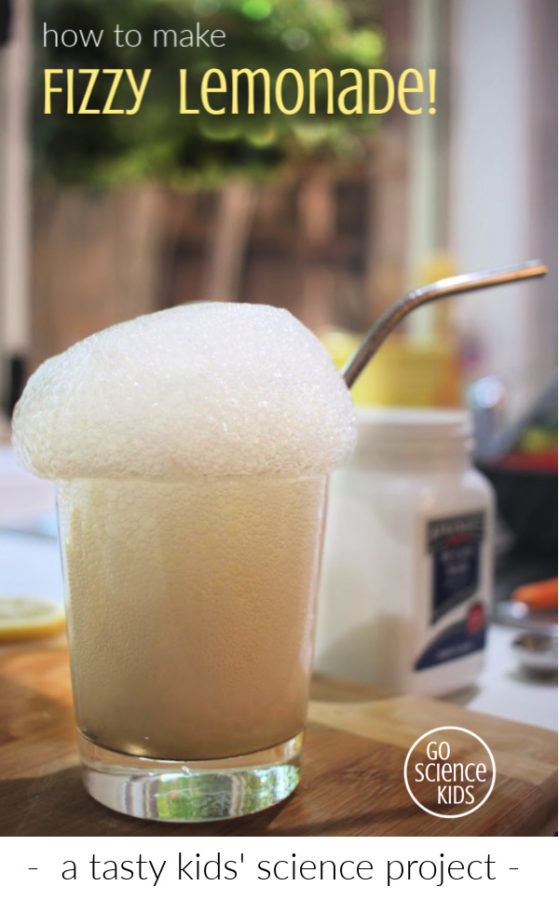 How to make Fizzy Old-Fashioned Lemonade – Go Science Kids